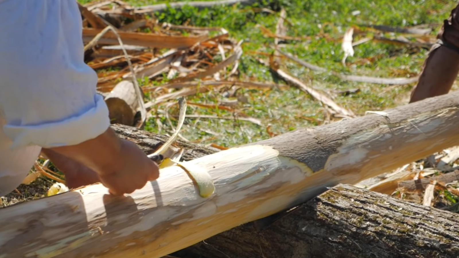 Types of Axe Heads - ToolsProfy